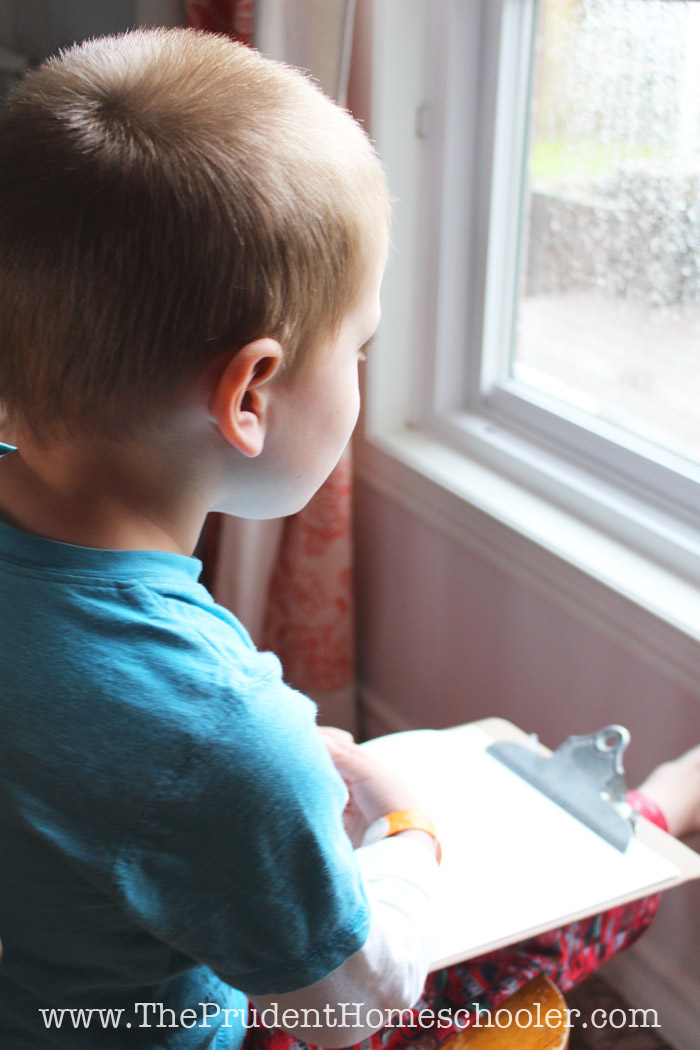 Observing Nature - Team V Education